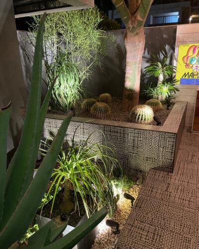 Mahala Palm Springs – A Magical Desert Destination