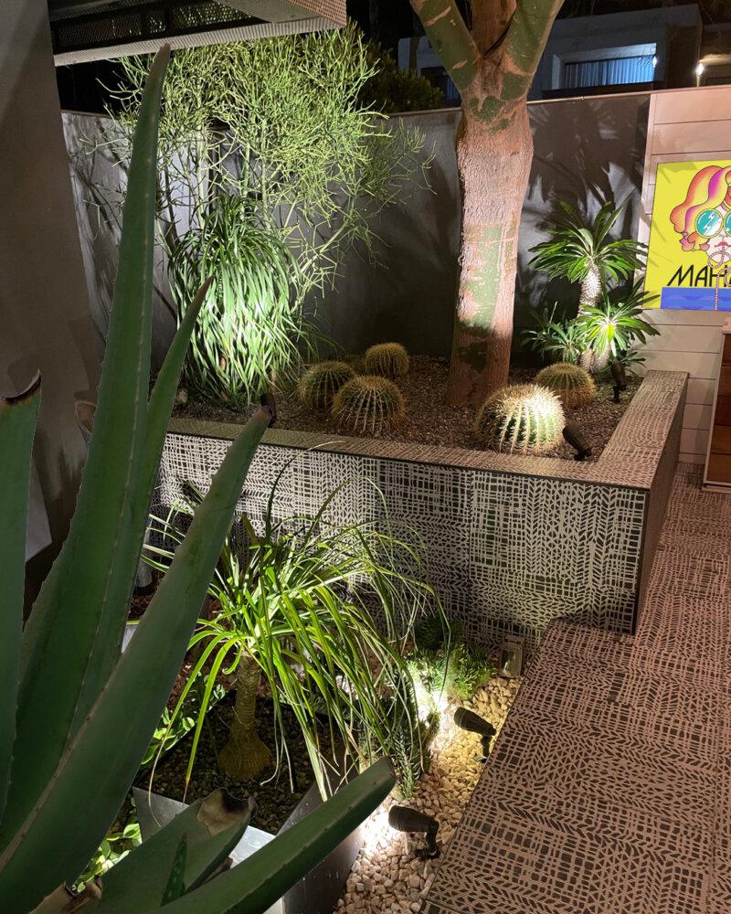 Mahala Palm Springs – A Magical Desert Destination